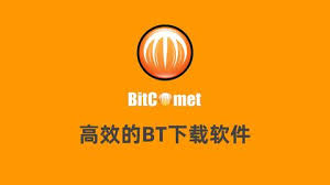 BitComet比特彗星v1.96.11.15去广告解锁豪华功能版下载 - 快意库